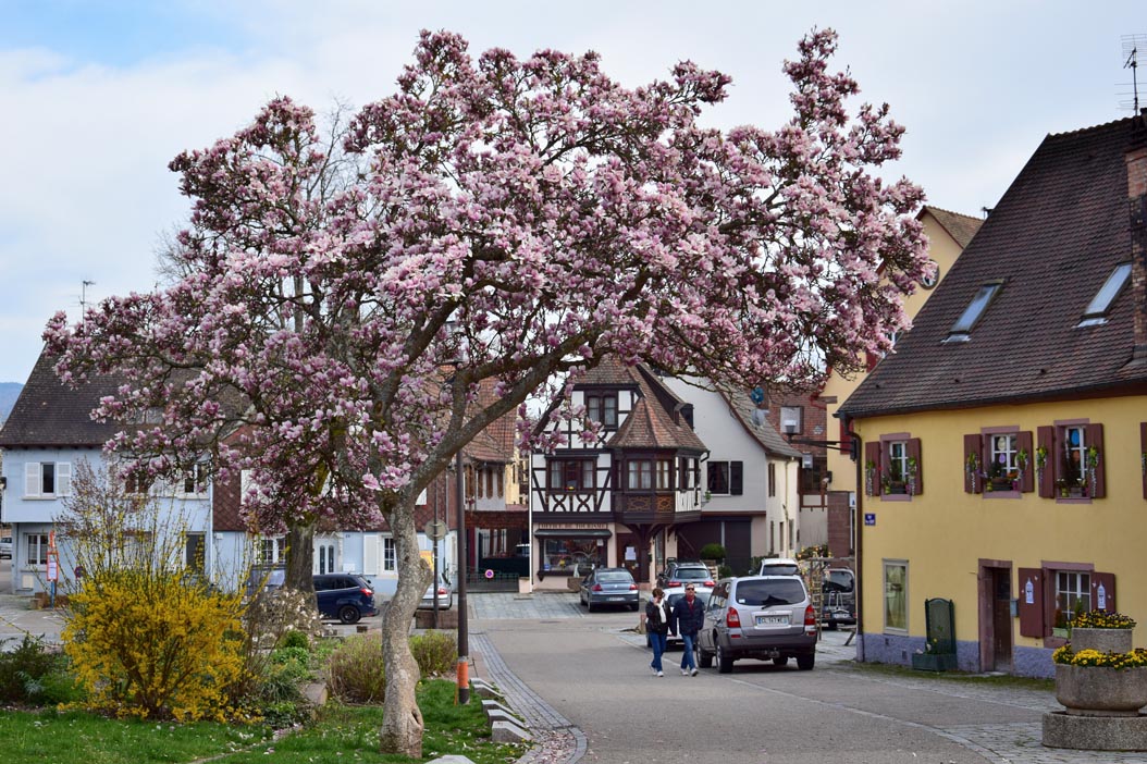 Villé en images - Commune de Villé (67)